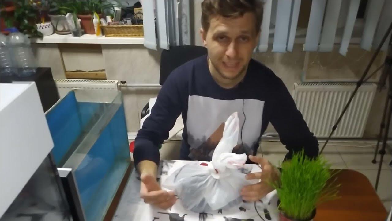 Мастерская. Как починить бесплатно рабочий фильтр для аквариума? # ...