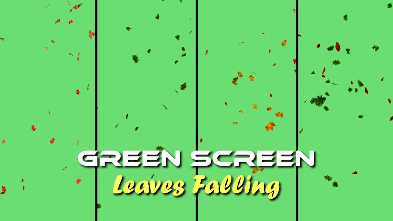 Green Screen Leaves Falling || Green Screen Effects || VFX - YouTube