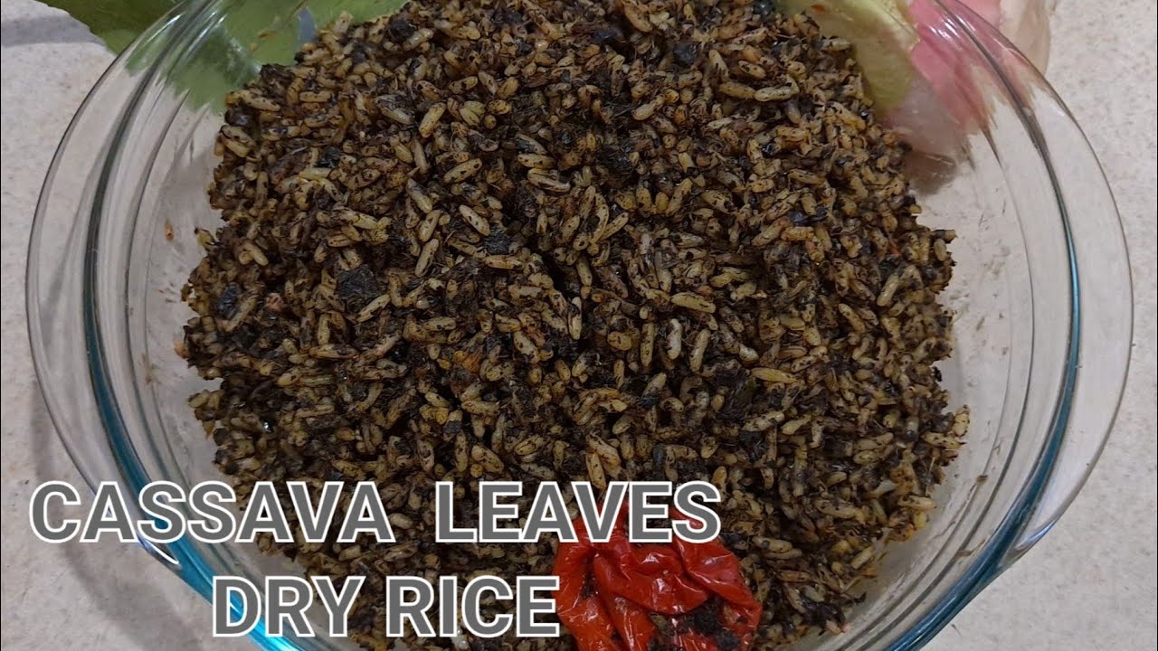 Ramadan Special Recipe | Cassava Leaves Dry Rice Recipe | Lafidi - YouTube
