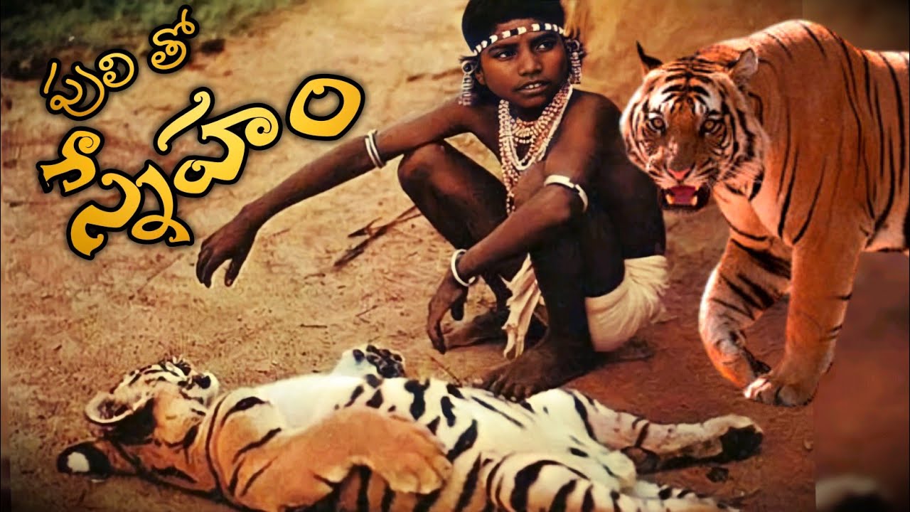 chendru the tiger boy full movie in telugu | the jungle saga story ...