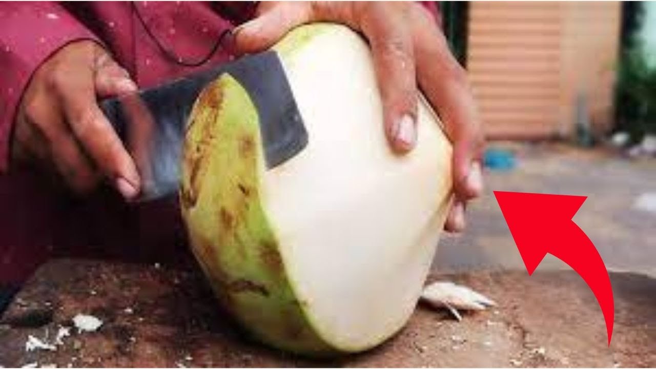 Amazing Coconut Cutting Skills | Amazing Coconut Cutting Skills of ...