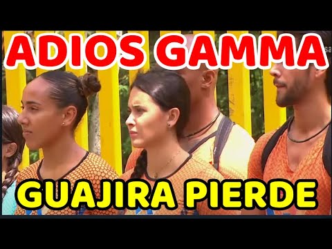 GAMMA BAJA SU ESCUDO AVANCE DESAFIO THE BOX 2023 - YouTube