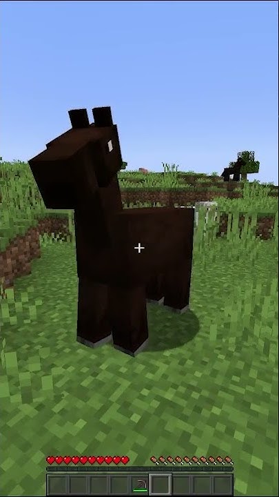 All of Minecraft's F3 Hotkeys Explained - YouTube