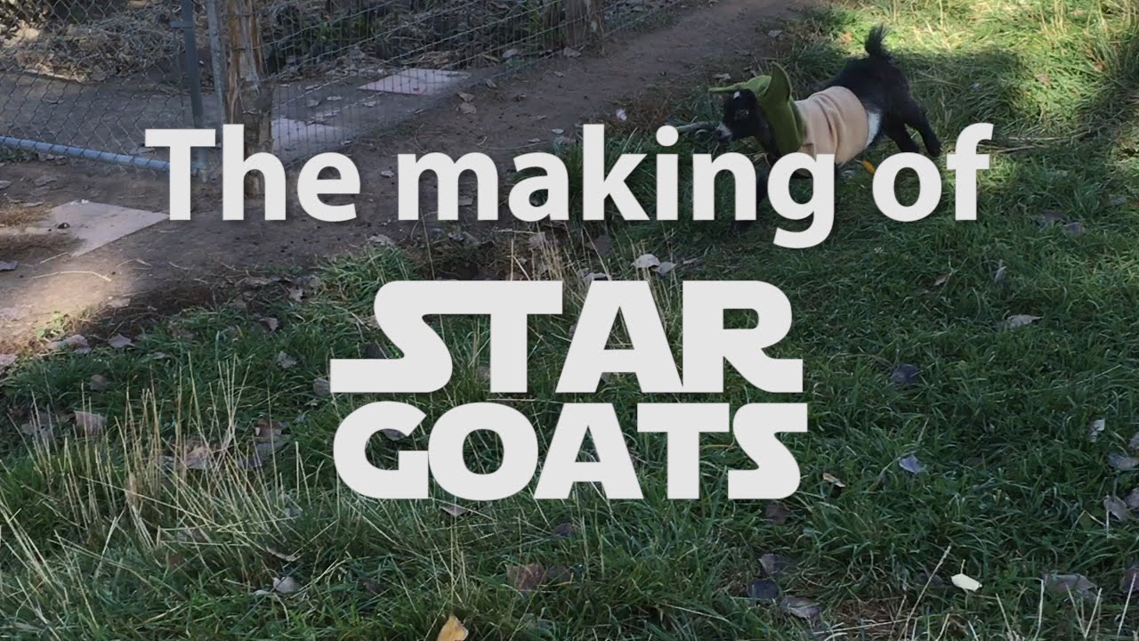 The Making of Star Goats - YouTube