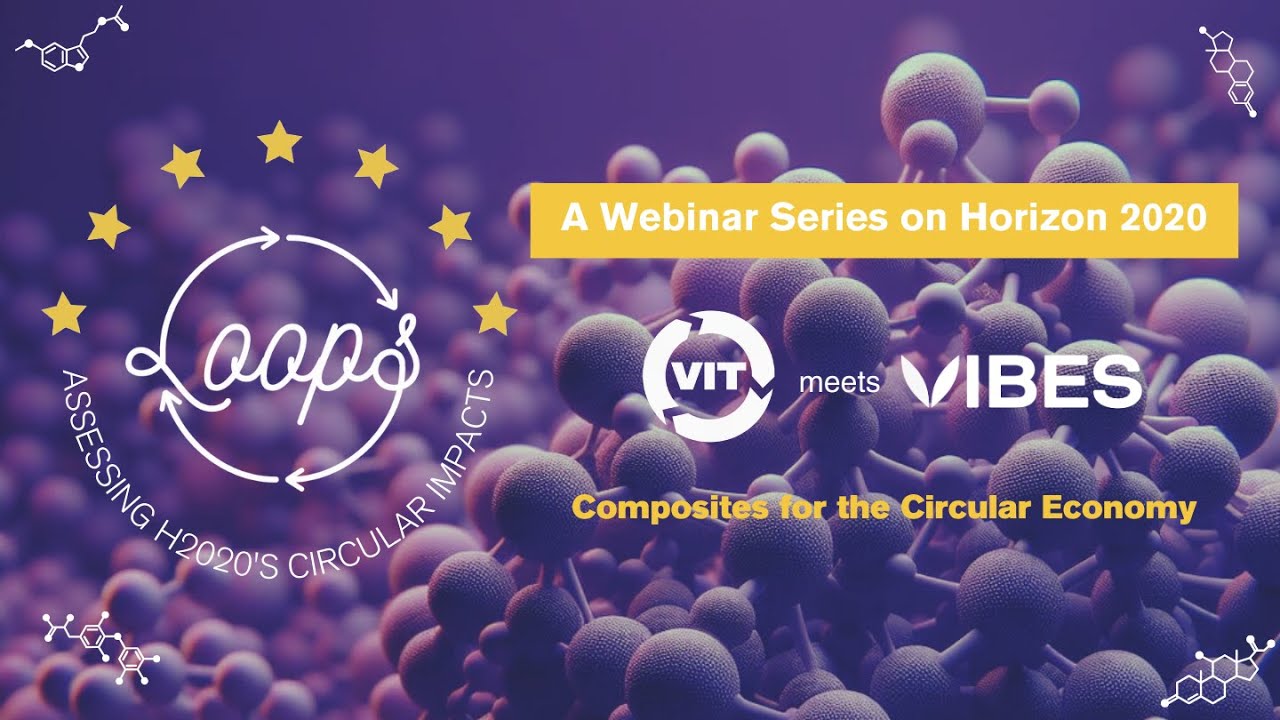 LOOPS 3.0 #2 | Composites for the Circular Economy: VIT meets VIBES ...