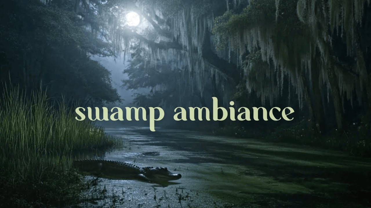 Night Swamp Ambiance 🐊 3 Hours Relaxing Water, Insects, Frogs, & Gator ...