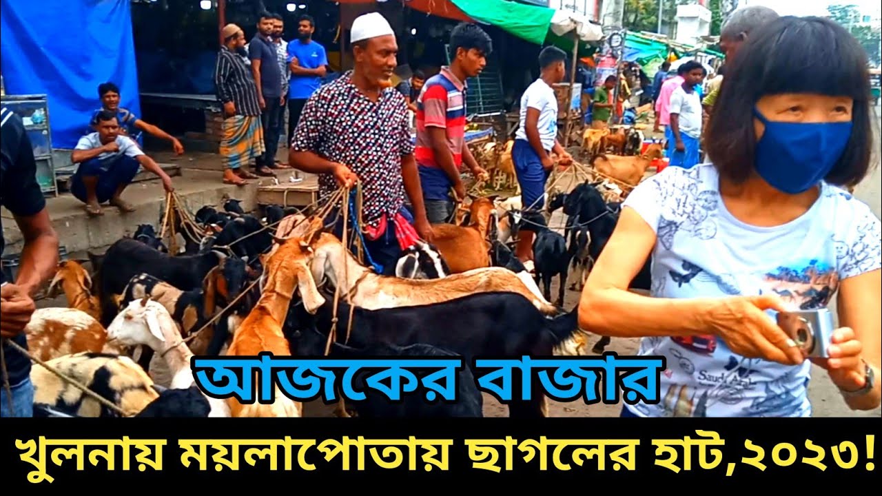 khashi sagoler haat 2023 | Goat market in Khulna | খাসি ছাগলের দাম ২০২৩ ...