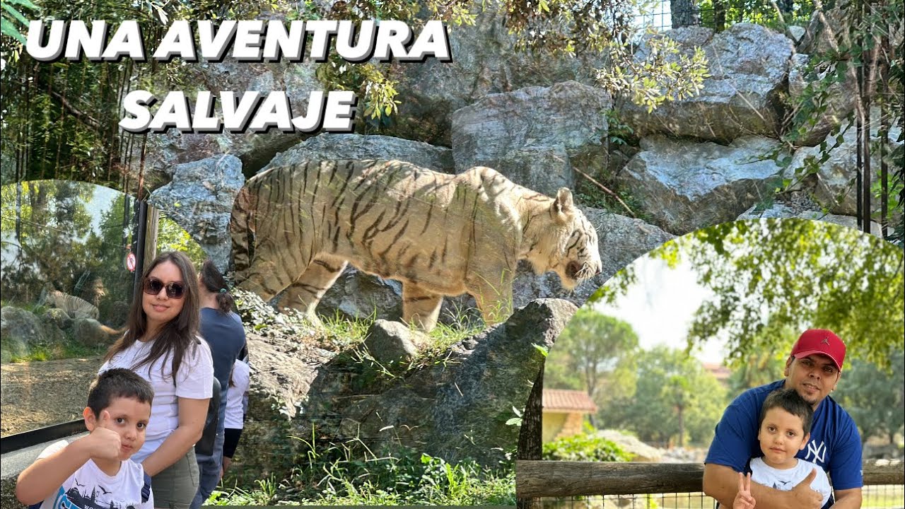 “Explorando el fascinante mundo Animal en el Zoológico parte-1 - YouTube