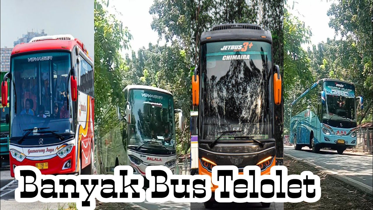 semua bus pada ngasih telolet,banyak bus telolet #bustelolet #telolet ...