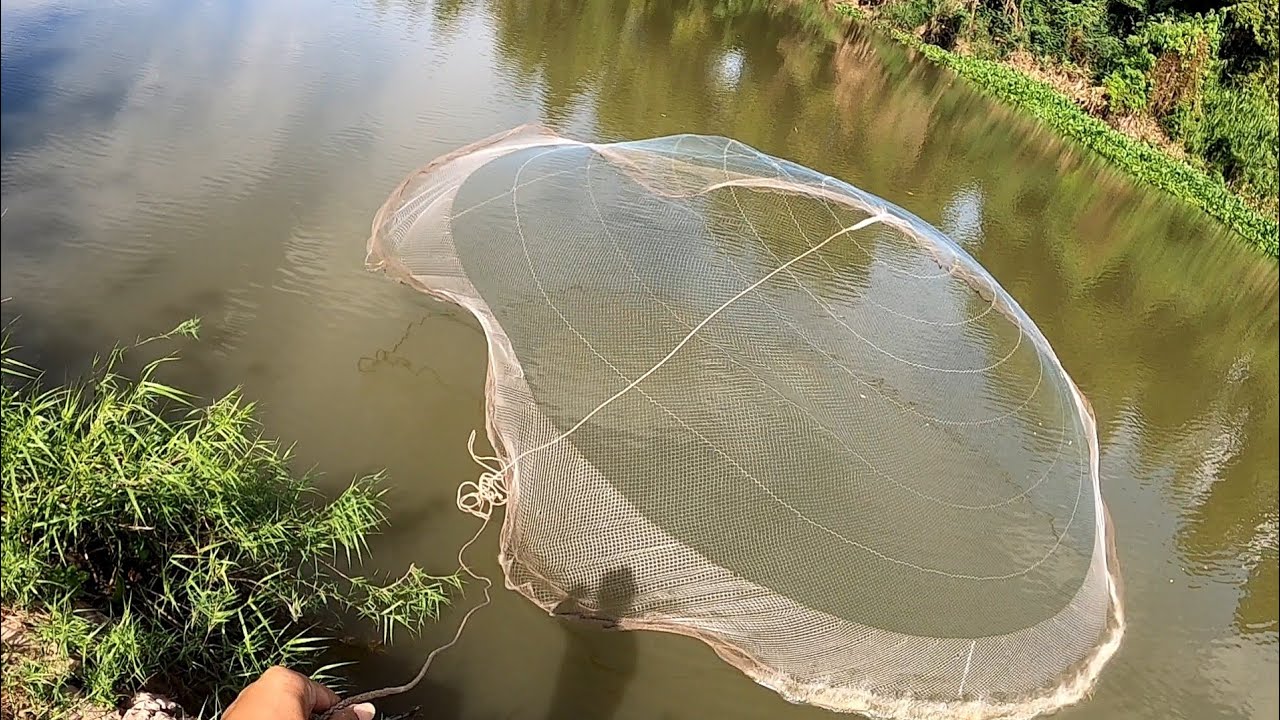 Amazing cast net fishing, fishing in the river. - YouTube