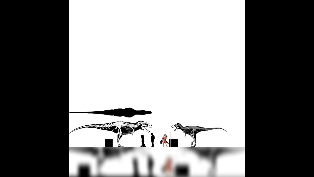 Tarbosaurus And Lythronax Size Comparison - YouTube