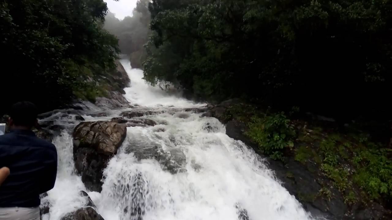 Surlabi Waterfalls in coorg - YouTube