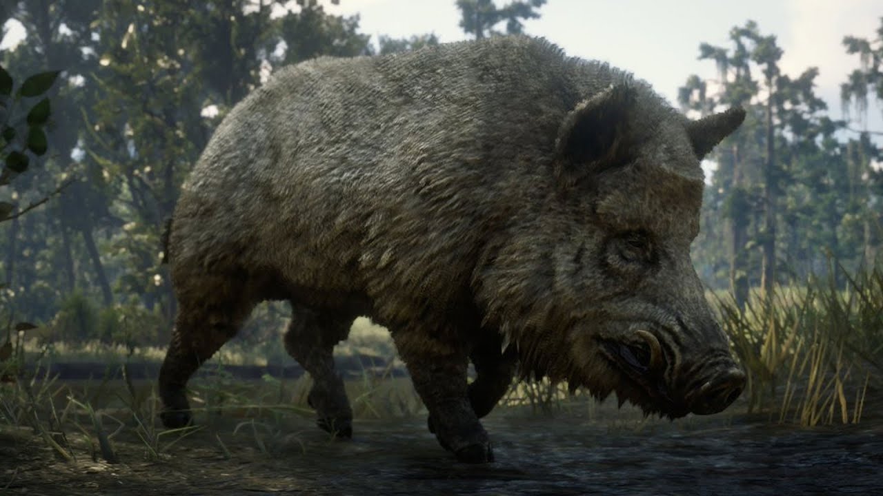 RDR2 #195! Đi dạo loanh quanh Map! Săn thú huyền thoại! Phần 1! Red ...