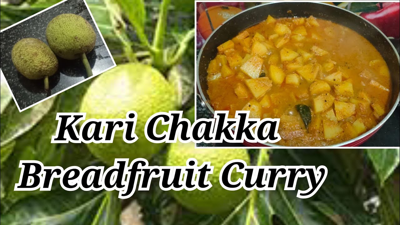 Kari Chakka Recipe in tamil/Breadfruit curry recipe in tamil/Curry ...