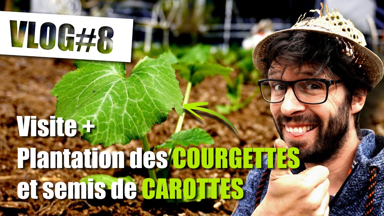 Visite du POTAGER + Plantation COURGETTE + Semis CAROTTES /// VLOG ...