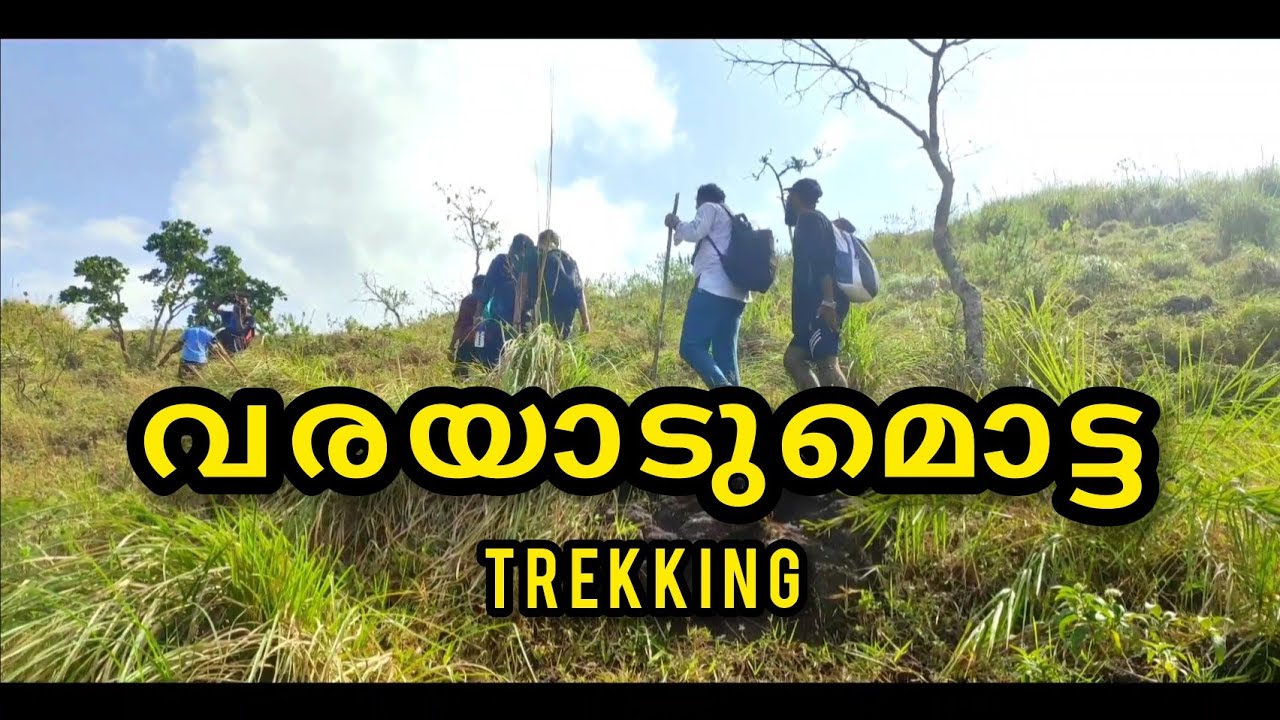 Varayadumotta Peak | Trekking in Ponmudi | വരയാടുമൊട്ട | Varayadumotta ...