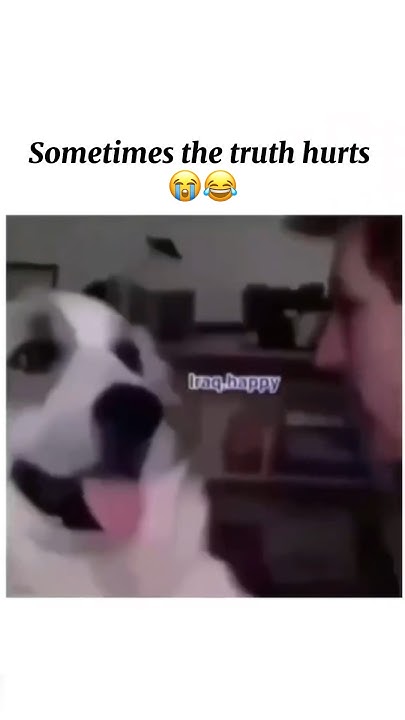 Sometimes the truth hurts - YouTube