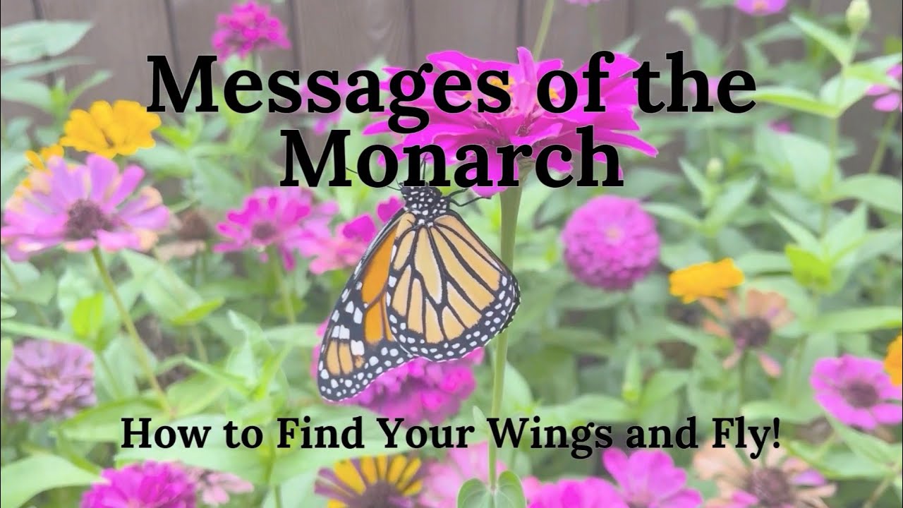 Messages of the Monarch Trailer by Cheri Neal, Author and Presenter ...