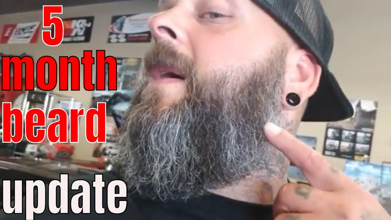 5 month beard update - YouTube