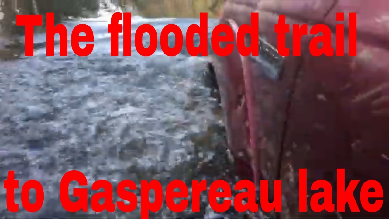 The flooded trail to Gaspereau lake - YouTube