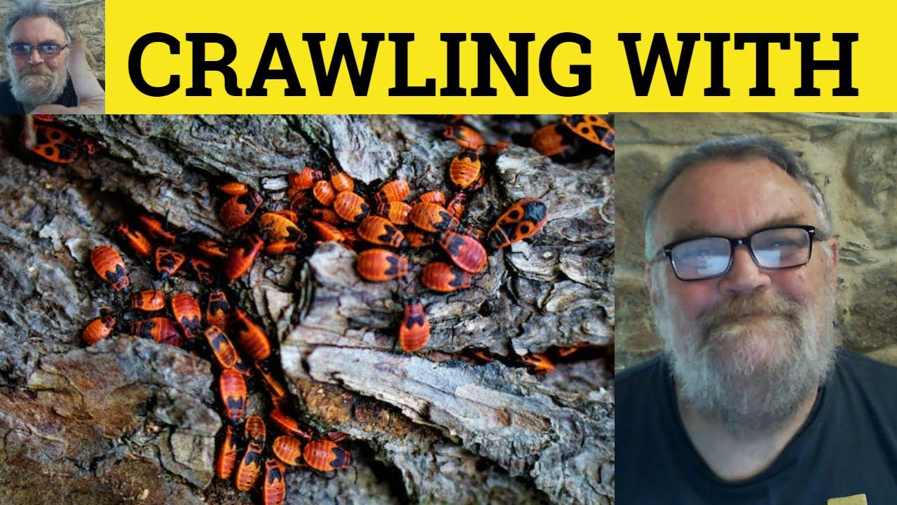 🔵Crawling With Meaning - Crawl With Examples - Crawling With Defined ...