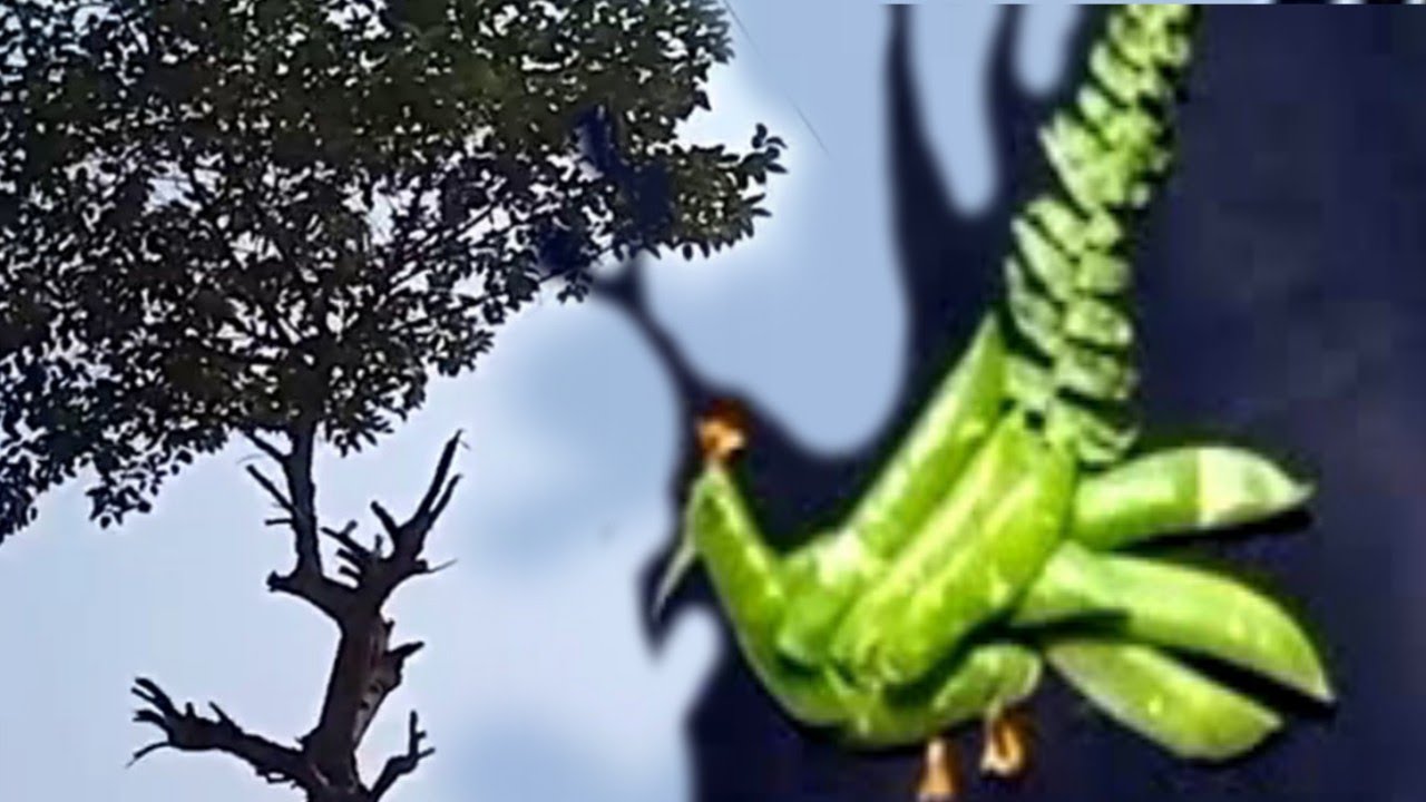 Artistic use of throwing things #passion #art#viral #artvideo # ...