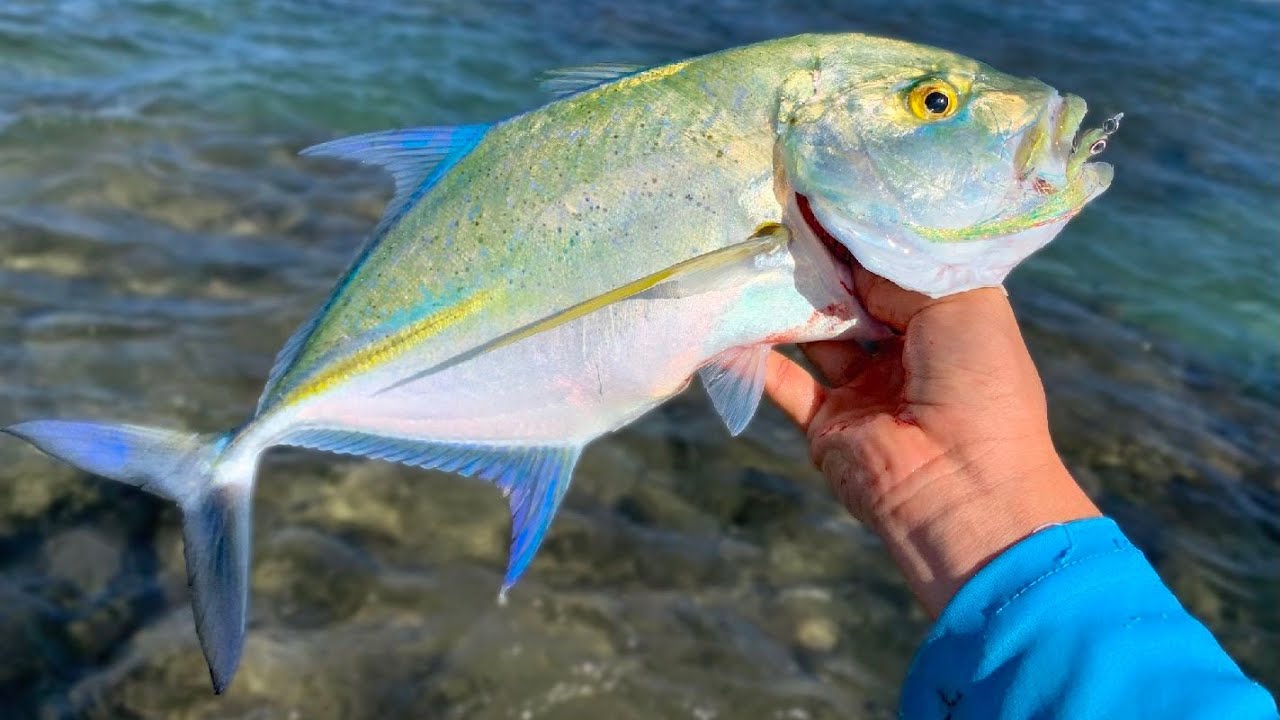 Colton's Homemade Flies! // First fish on the fly - YouTube