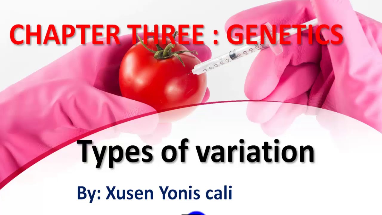 67. Types of Variation (introduction part two) - YouTube