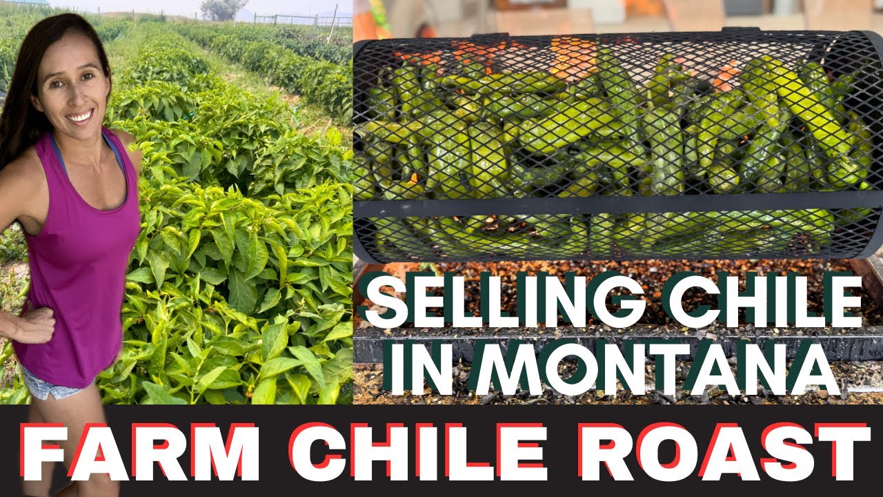 Farm Chile Roast in Montana! | How We Roast & Preserve Homegrown Chiles ...