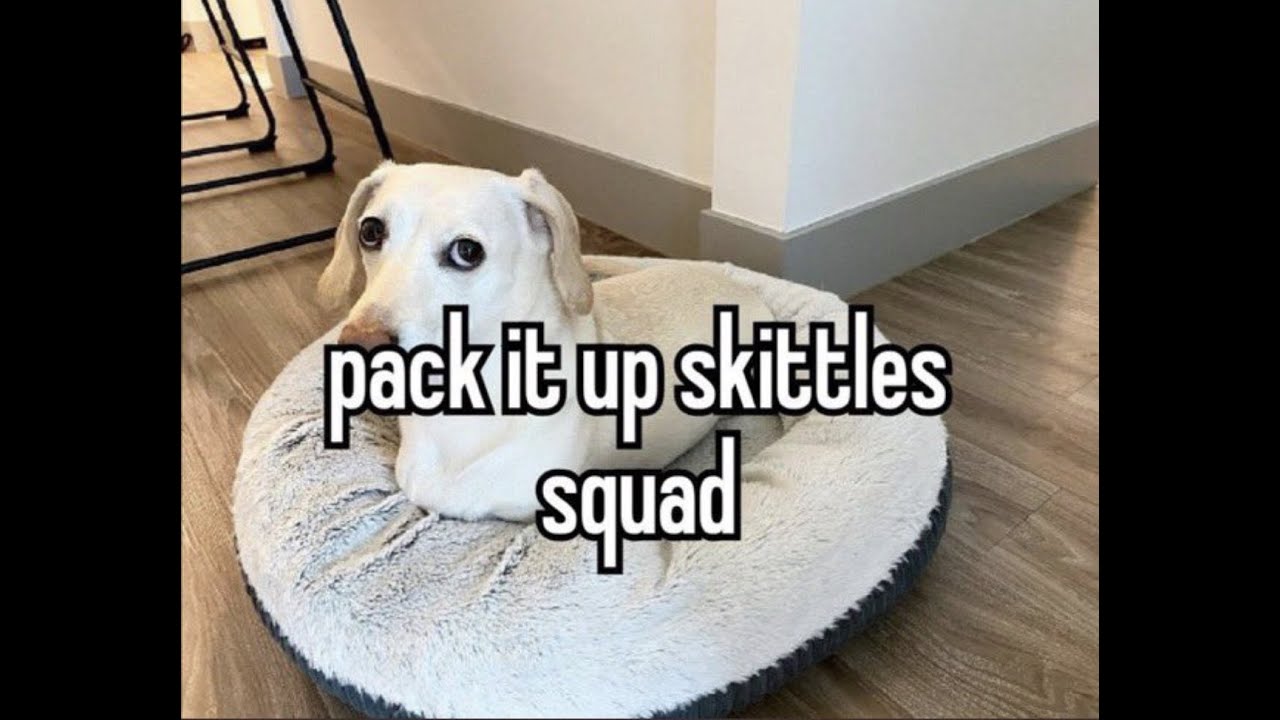 "pack it up skittles squad" - YouTube