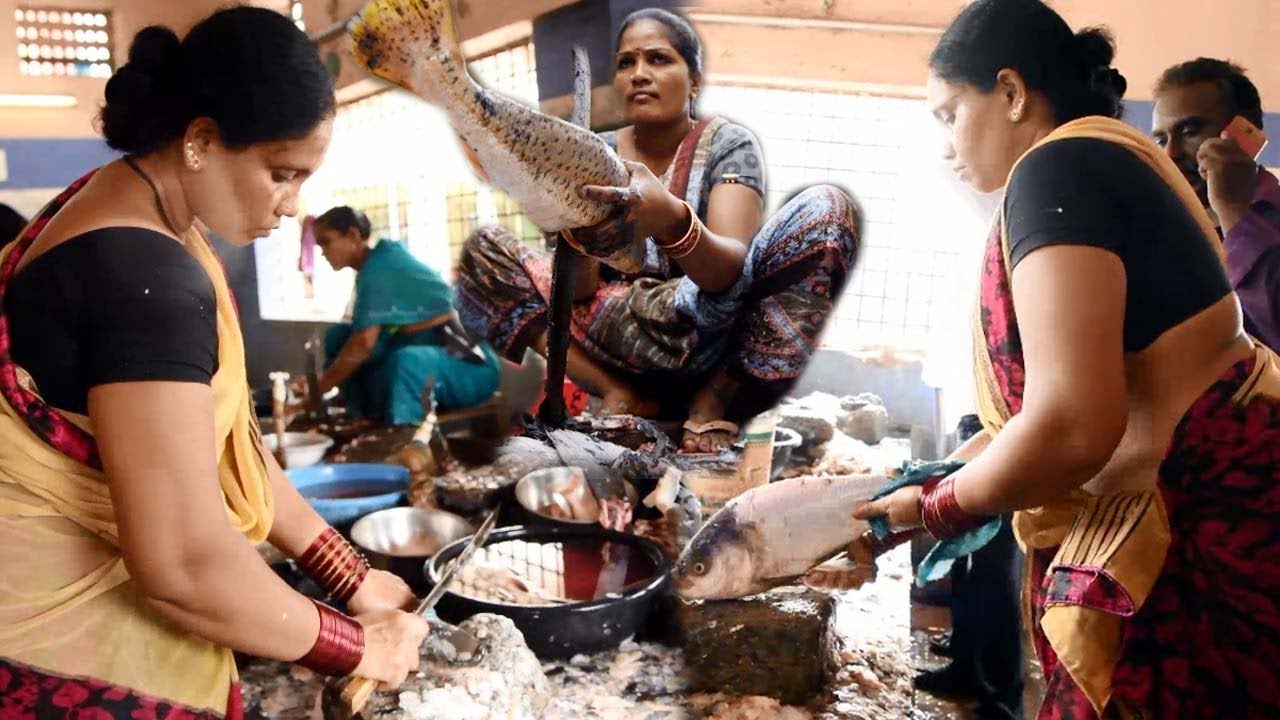 Amazing Live FISH Cutting Skills By Woman | Big Fresh FISH Cutting by ...