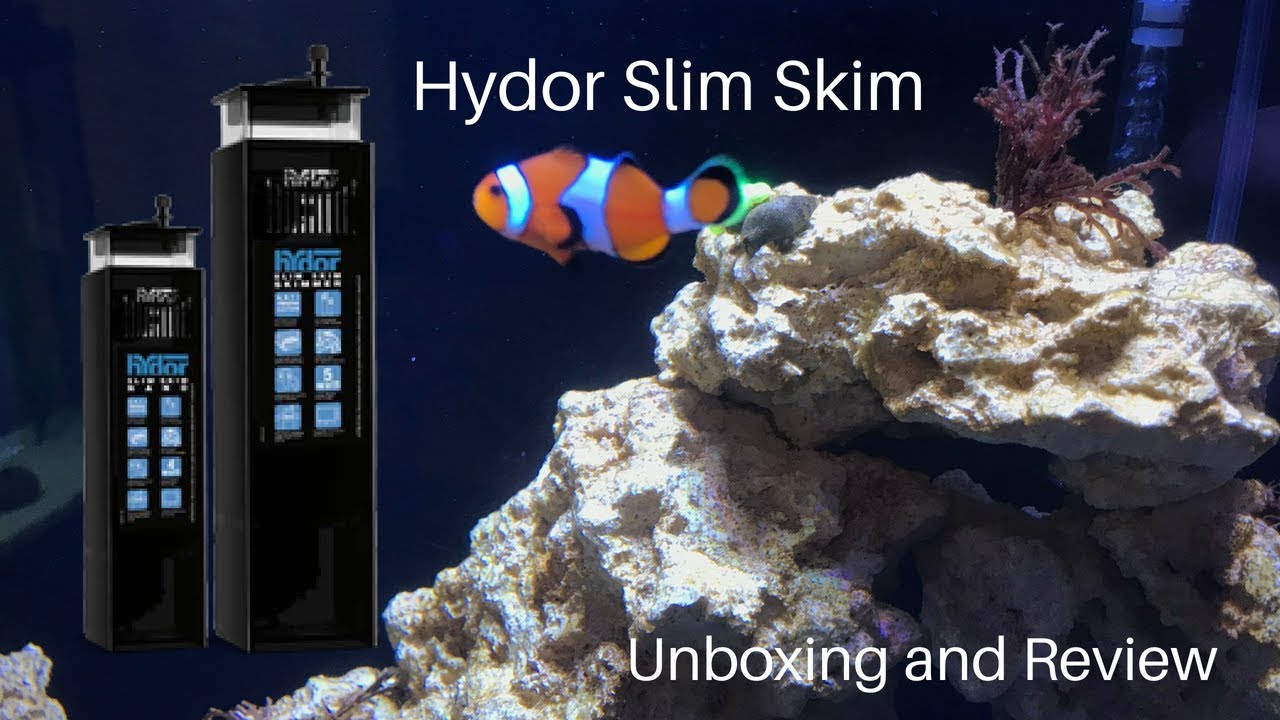 Hydor Slim Skim Protein Skimmer - YouTube
