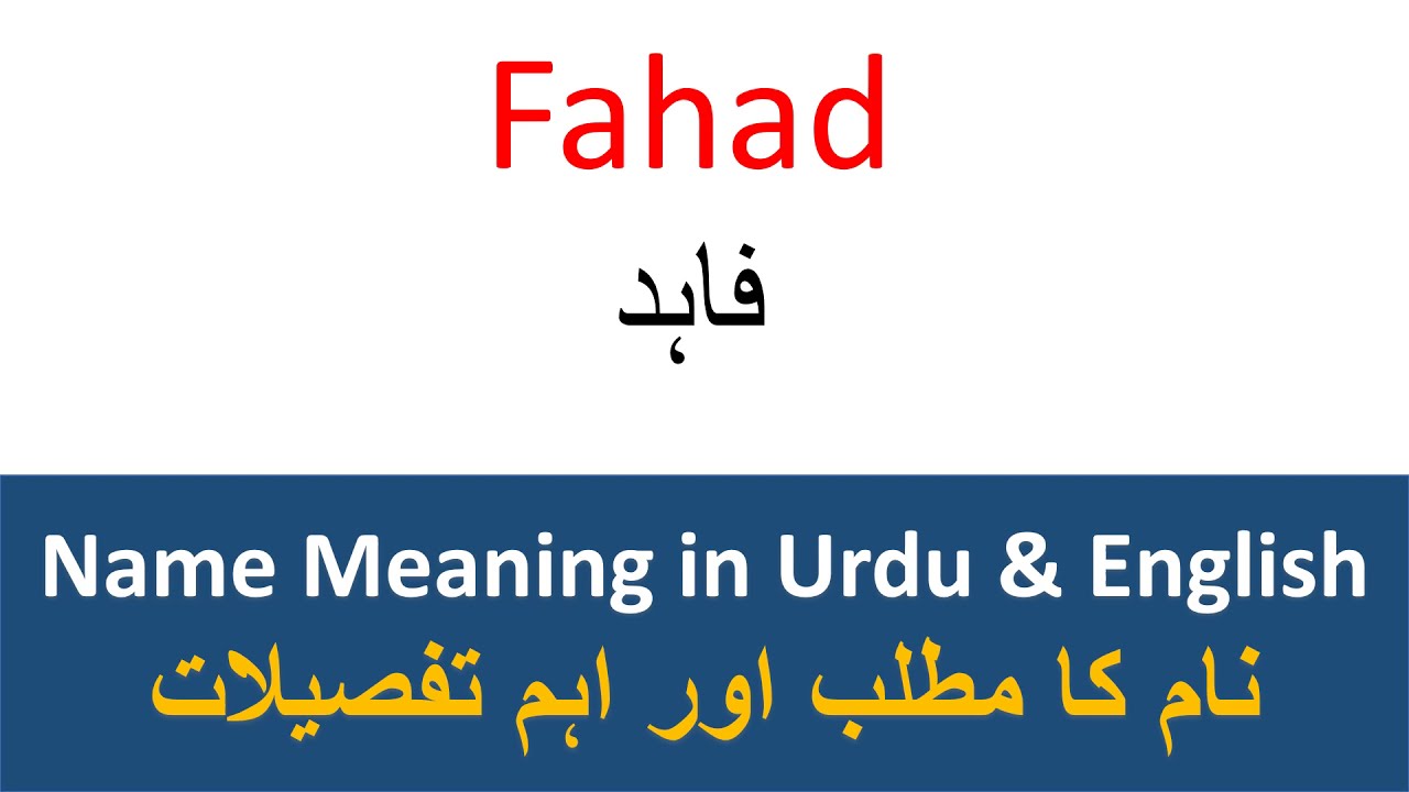 Fahad Name Meaning In Urdu Boy Name فاہد - YouTube