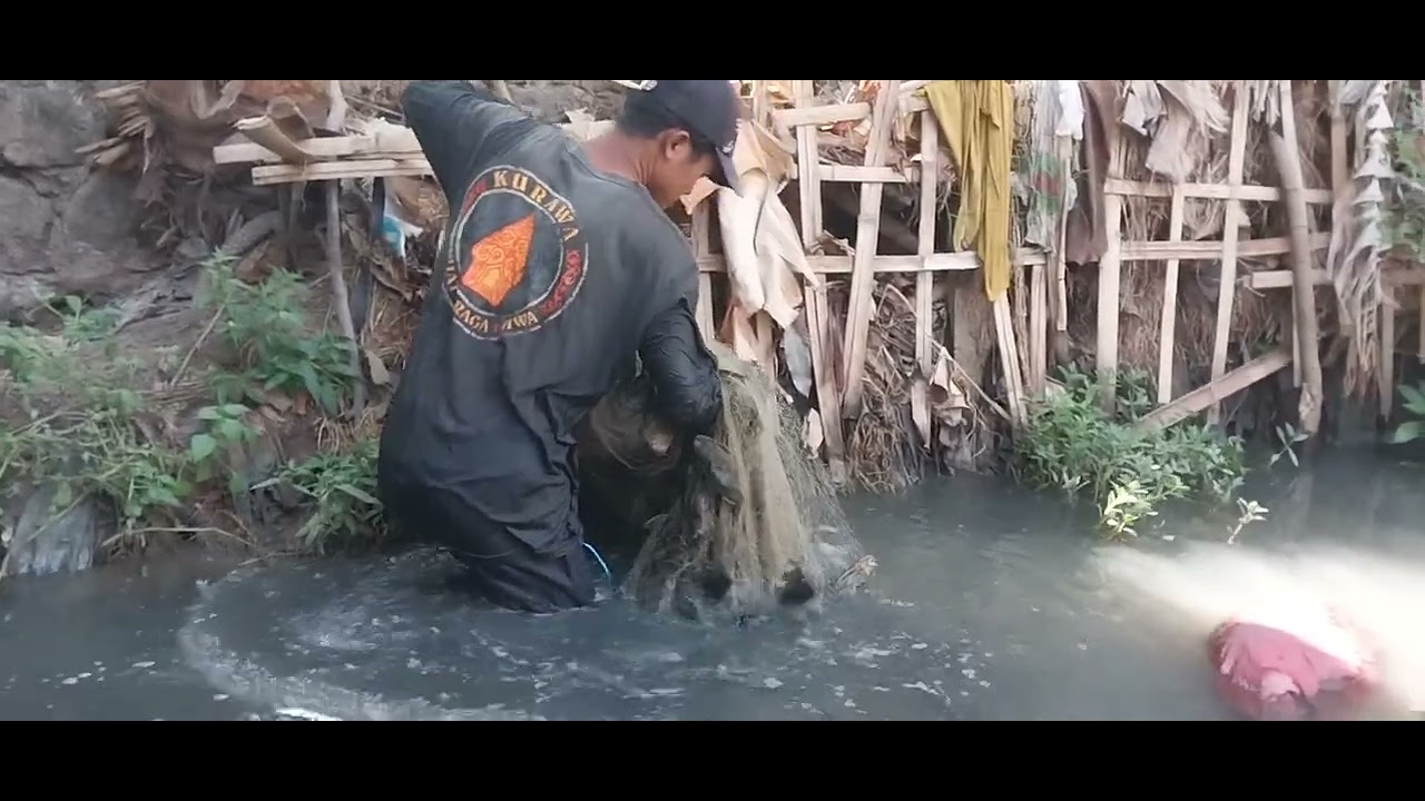 Nyari Ikan Sapu2 Di Bawah Gorong2 Mesjid Youtube