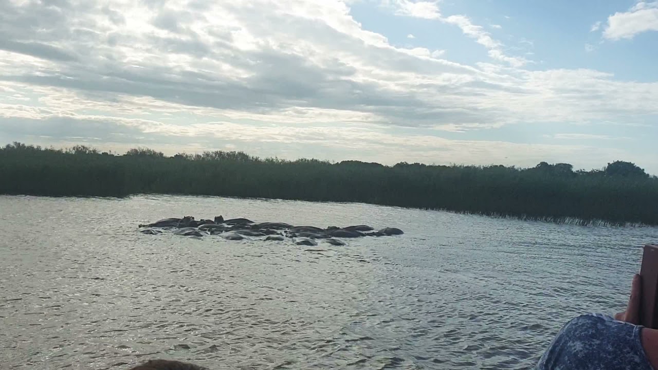 St Lucia Cruise (Hippo Gang) - YouTube