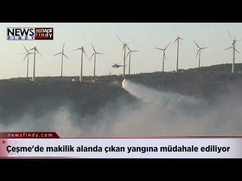 Çeşme Yangınına Müdahale Ediliyor (Yangının Çıkış Nedeni Belli Oldu)