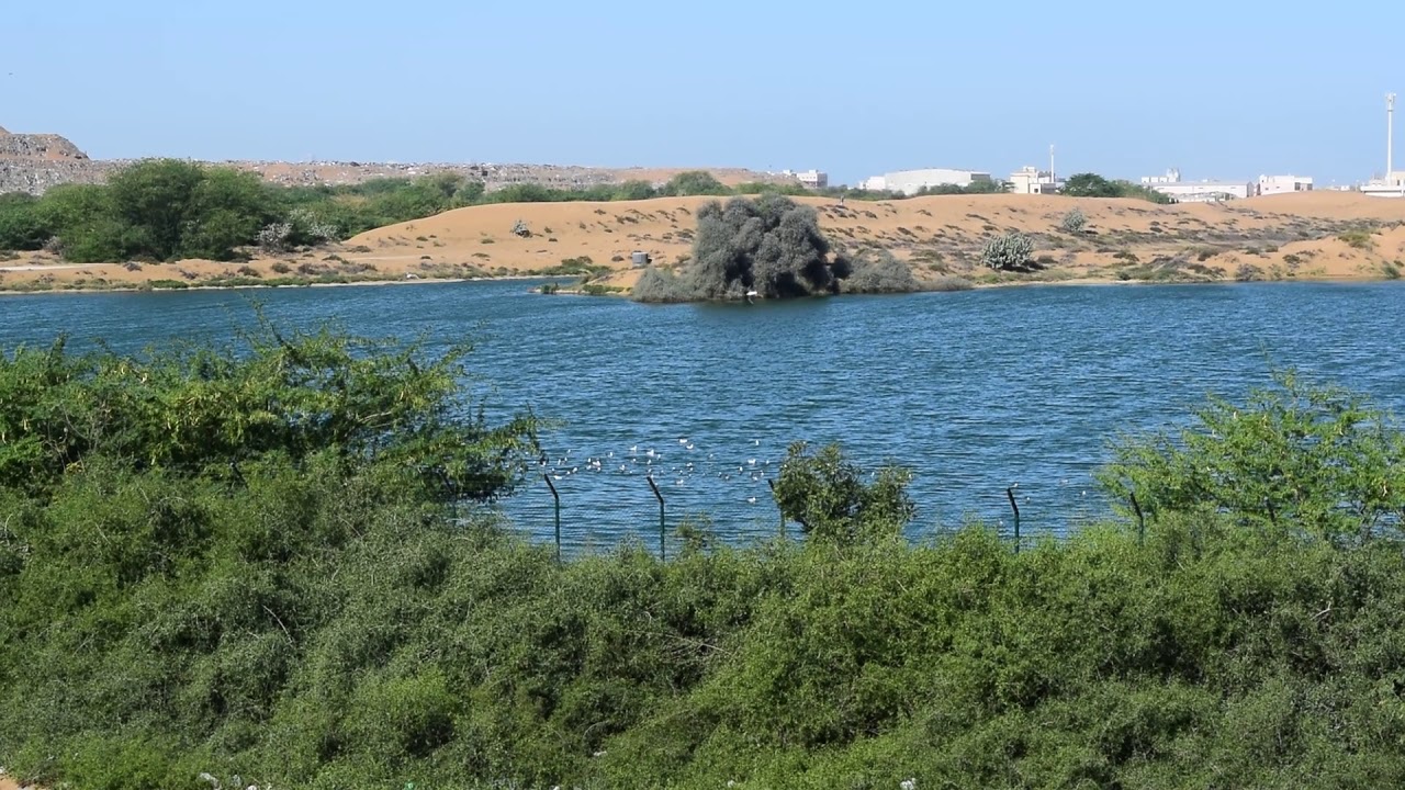 Natural Beauty of Ajman, U.A.E._FUll HD_2019_ Part 03 - YouTube