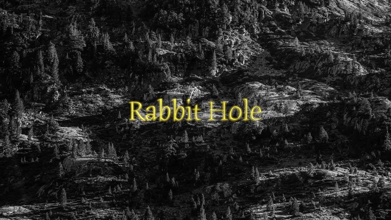 Hanseein - Rabbit hole [Lyrics video] - YouTube