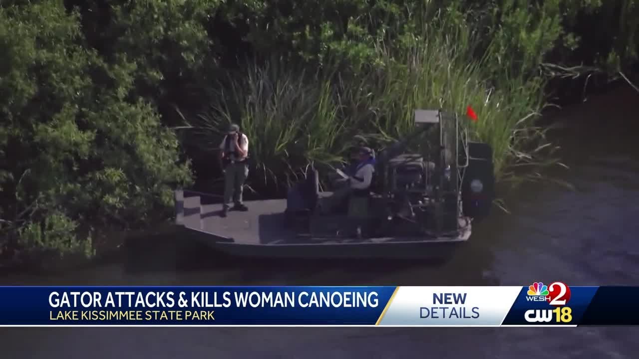 Woman killed in alligator attack in Central Florida - YouTube