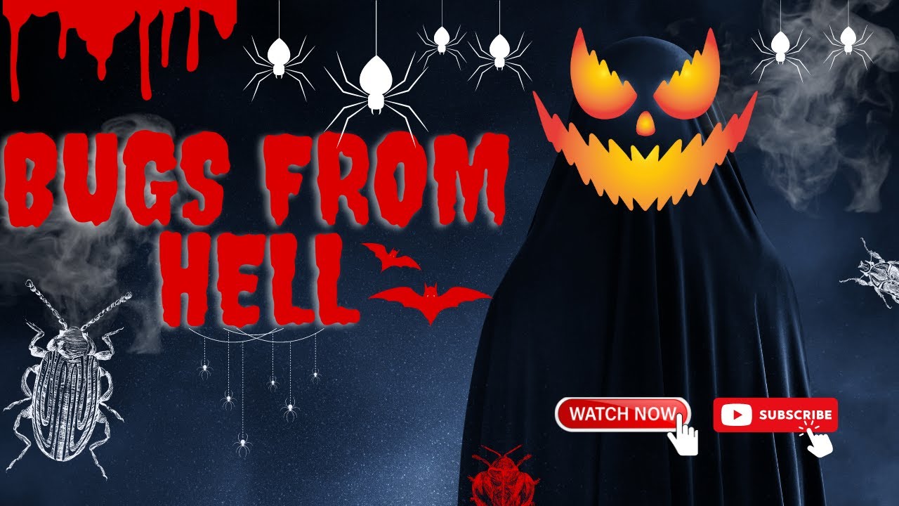 Bugs from hell - YouTube