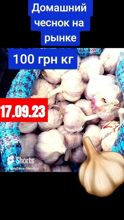 Цена на чеснок - YouTube