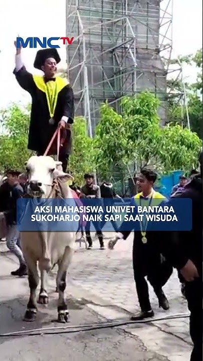 Viral Aksi Mahasiswa Univet Bantara Sukoharjo Naik Sapi saat Wisuda - YouTube