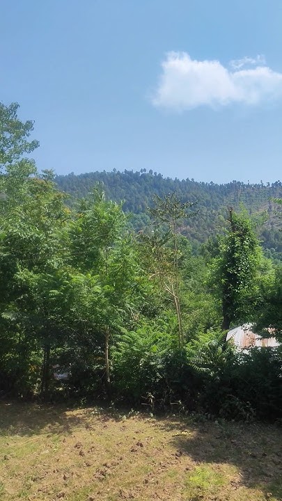 beautiful Kashmir ️ #akahmad #foryou #nature - YouTube