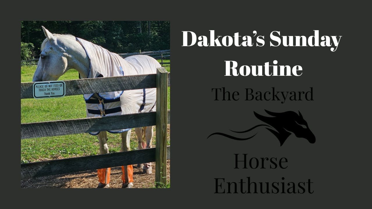 Dakota’s Sunday Routine | Westbrook CT Horse Care at Spring Valley ...