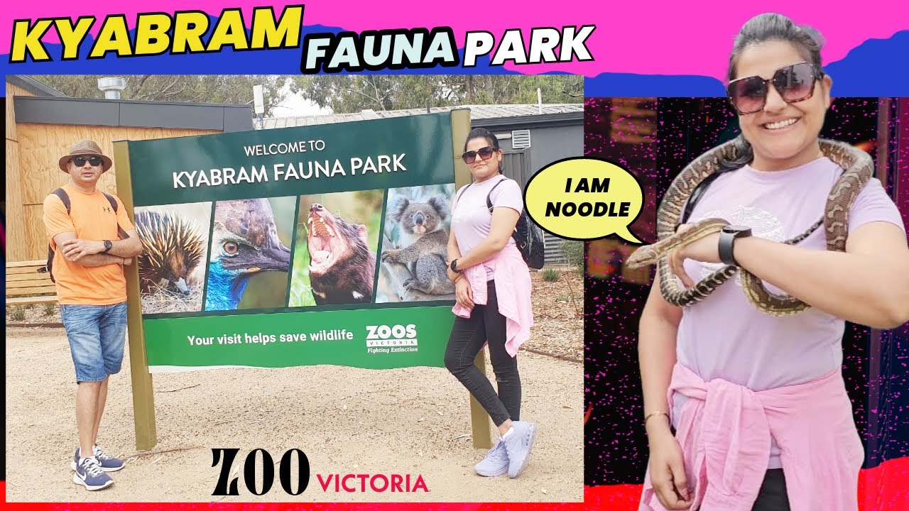 Kyabram Zoo I Melbourne I 2023 #zoo #travelvlog #thingstodoinmelbourne ...