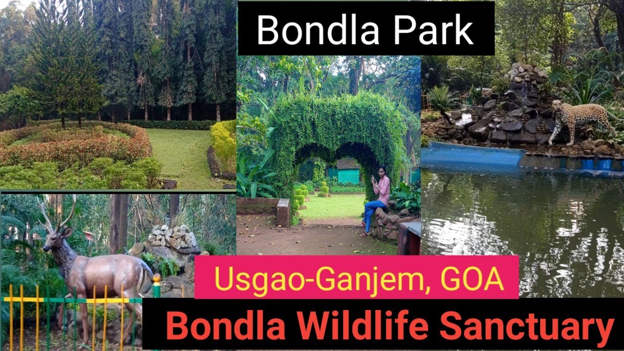 Bondla Wildlife Sanctuary /Bondla Park /Usgao-Ganjem , Goa 2022 /#viral ...