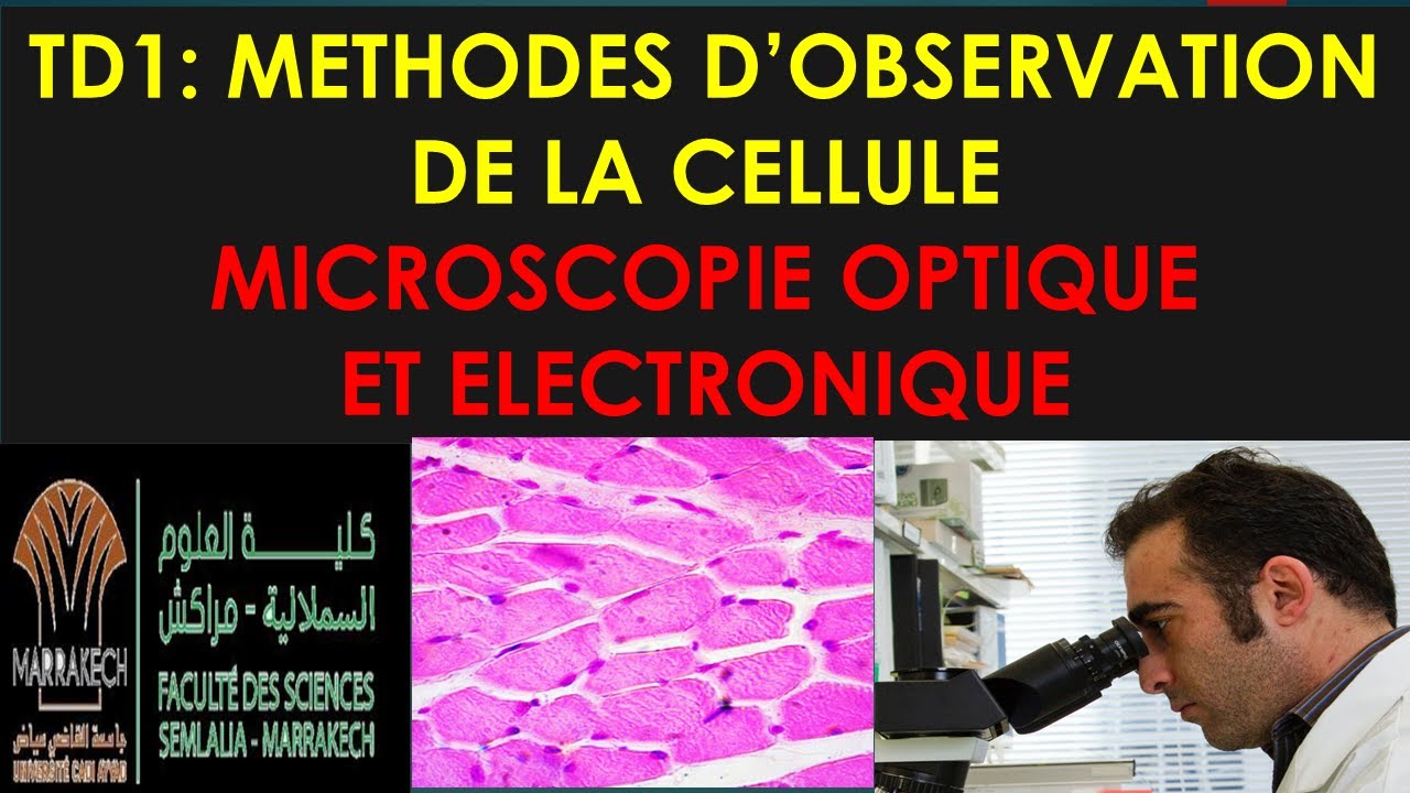 td 1 de biologie cellulaire s1 svi fssm et BCG 2023: le microscope optique et electronique - YouTube
