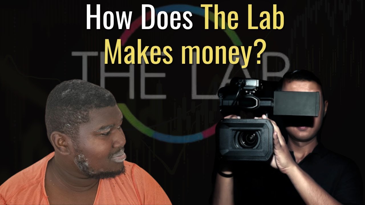 How Does The (LAB) Make Money and How is the Stock Performing? - YouTube