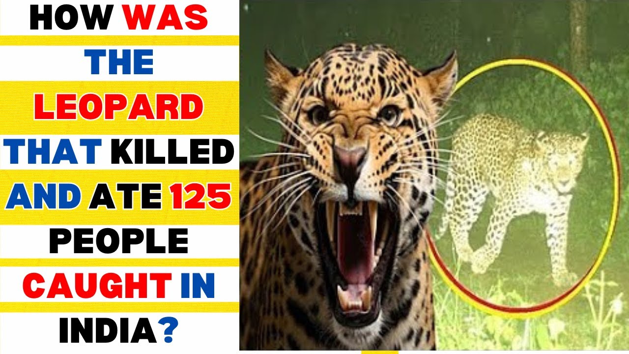 The Terror of Rudraprayag: The Man-Eating Leopard's Horrific Tale - YouTube