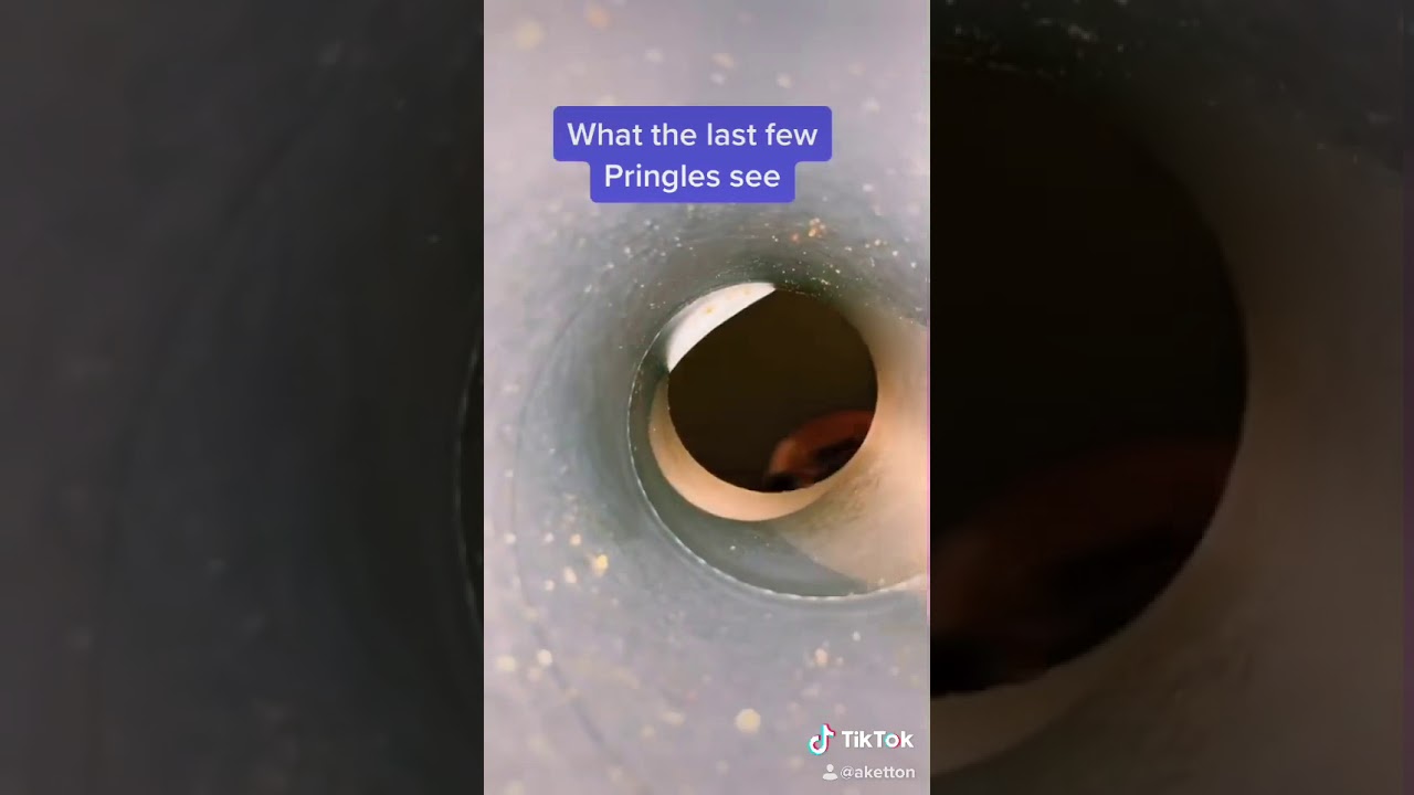 What the last few pringles see - YouTube